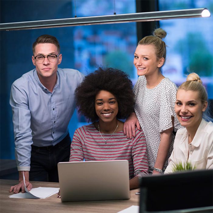 Bridge | Demo Site for Software Development